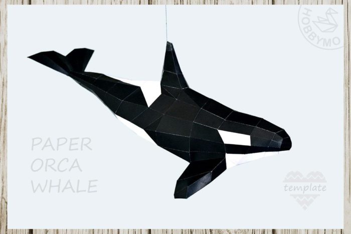 Orca Whale, 3D Papercraft template - HOBBYMO