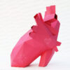 Paper Human Heart, 3D Papercraft - HOBBYMO