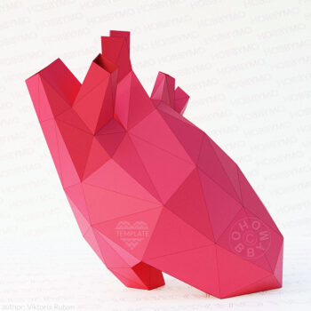 Paper Human Heart, 3D Papercraft - HOBBYMO