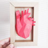 Framed Anatomical Heart, 3D Papercraft - HOBBYMO